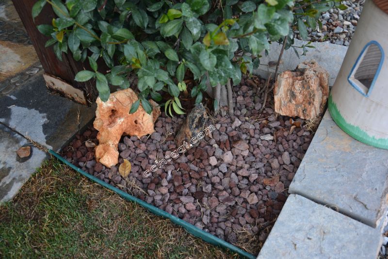 Cüruf Taşı - eKoza